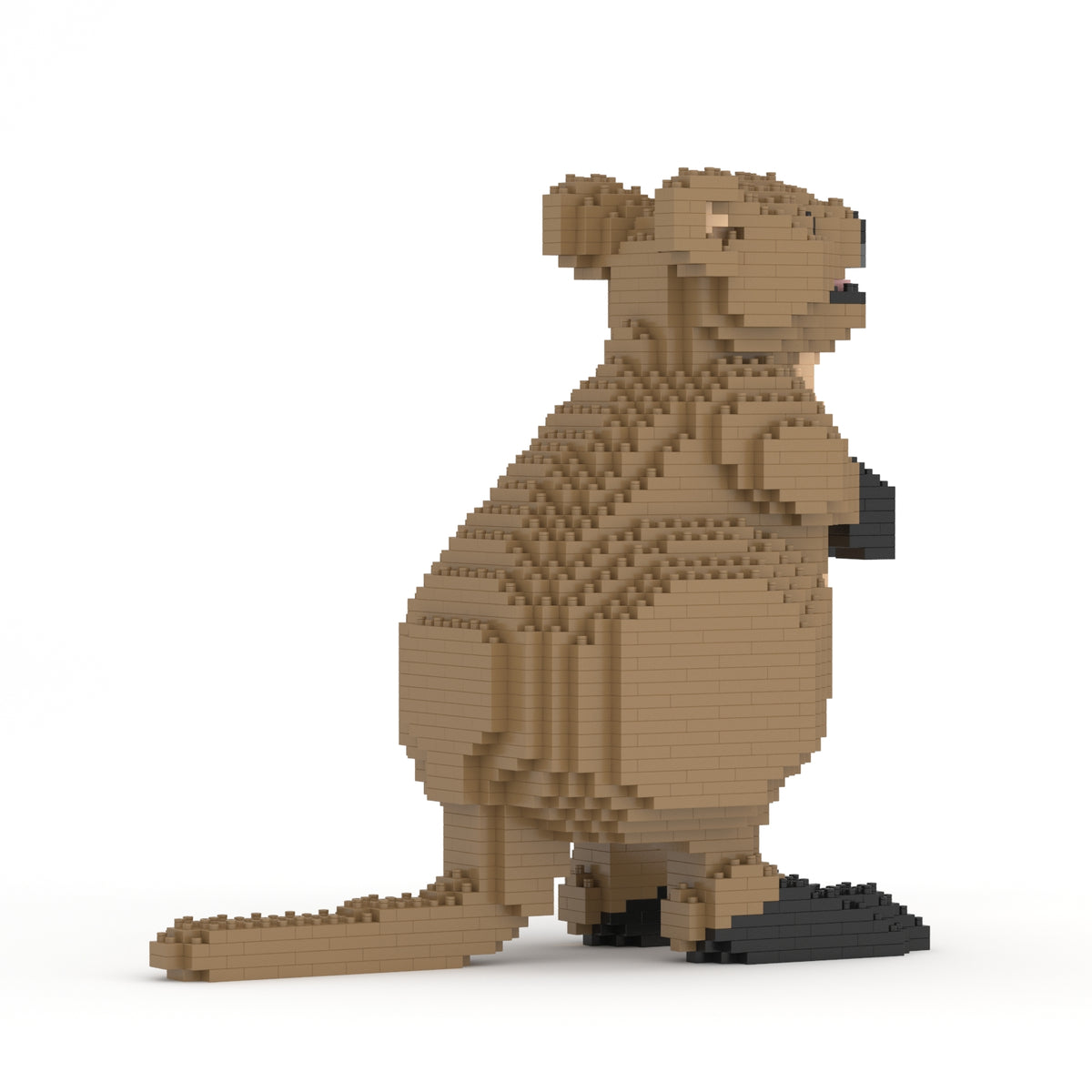 Quokka 01S / 01C | JEKCA Building Blocks | Singapore – Hyggerium