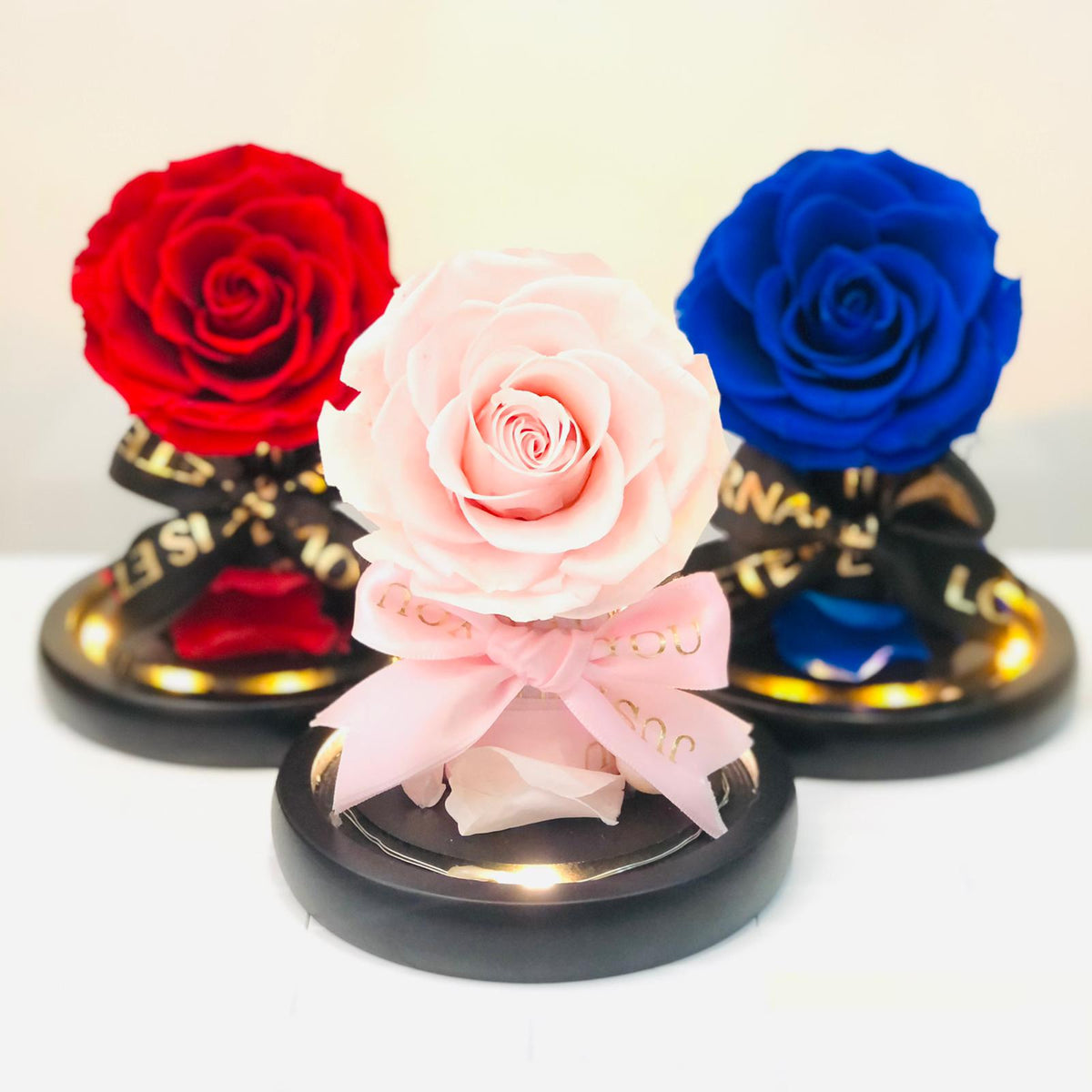 Preserved Blue Rose Glass Dome – Hyggerium