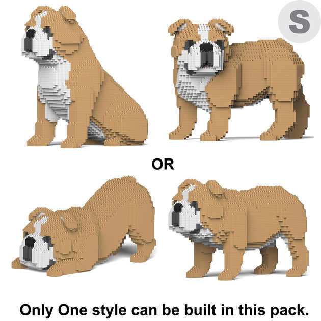 JEKCA 4-IN-1 Pack Dogs and Cats Series | Hyggerium Singapore