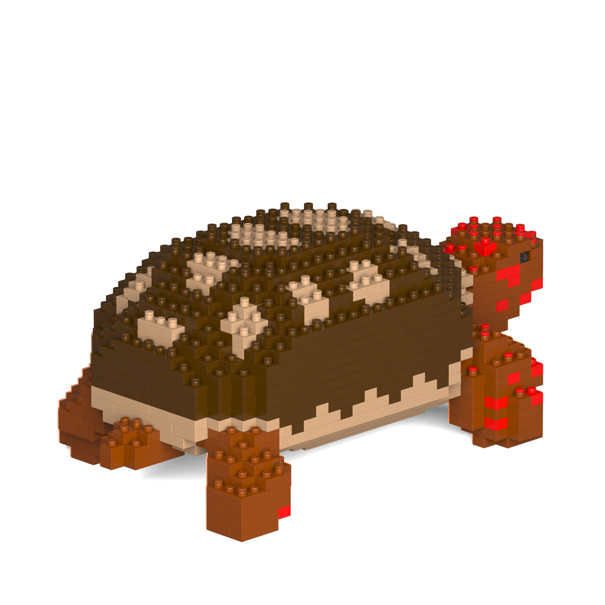 Red-footed Tortoise 01S / 01C | Building Blocks – Hyggerium