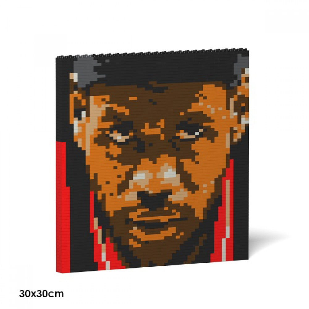 LeBron James Brick Painting 01S Building Blocks | Gift Idea | JEKCA ...