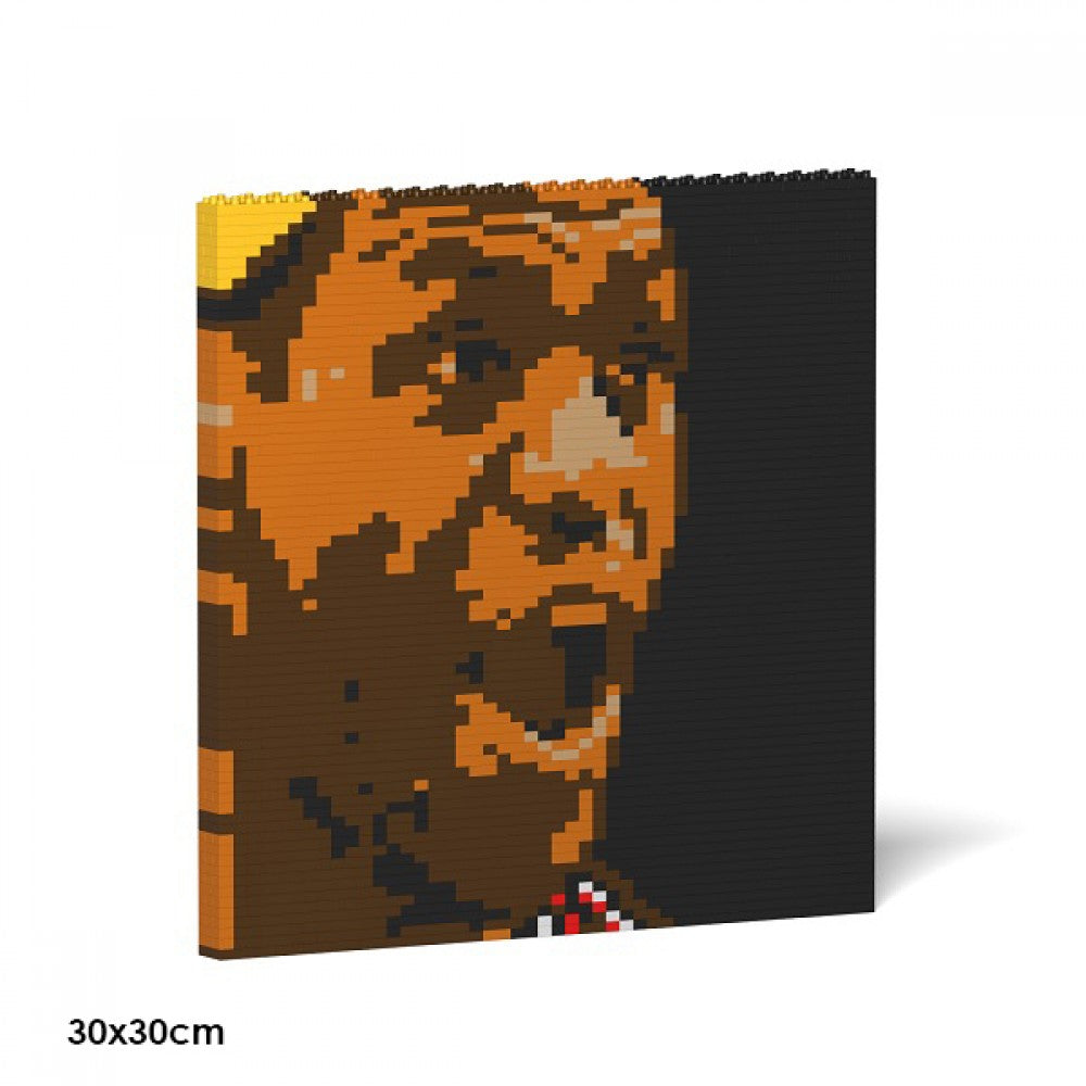 LeBron James Brick Painting 03S Building Blocks | Gift Idea | JEKCA ...